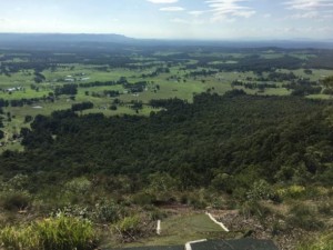 Hunter Lookout - Site Details - Site Guide